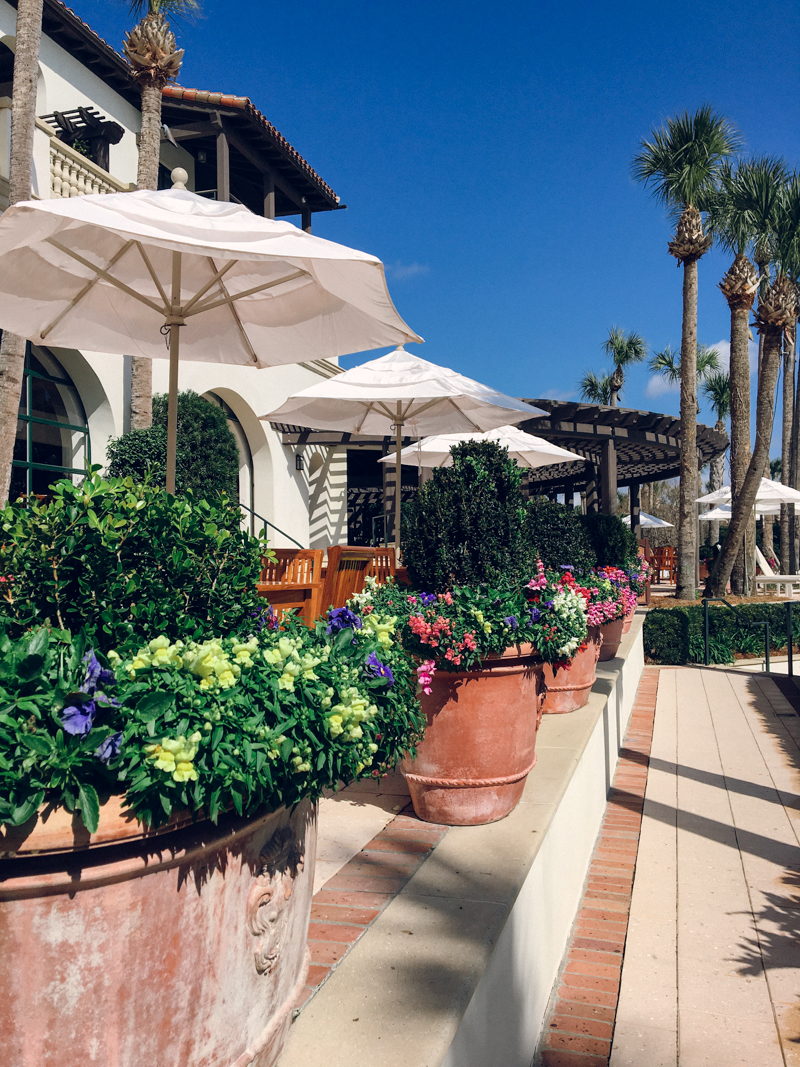 St. Simons & Sea Island Travel Guide - Cristin Cooper