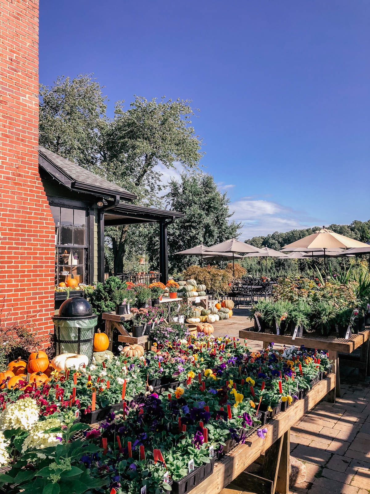 36 Hours in Charlottesville Wine Country - Cristin Cooper