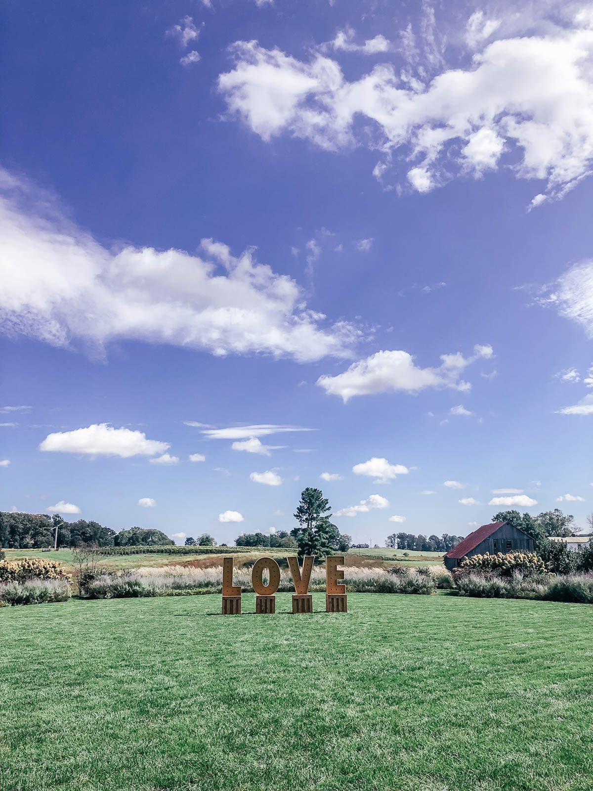 36 Hours in Charlottesville Wine Country - Cristin Cooper