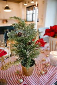 Christmas Home Tour - Cristin Cooper